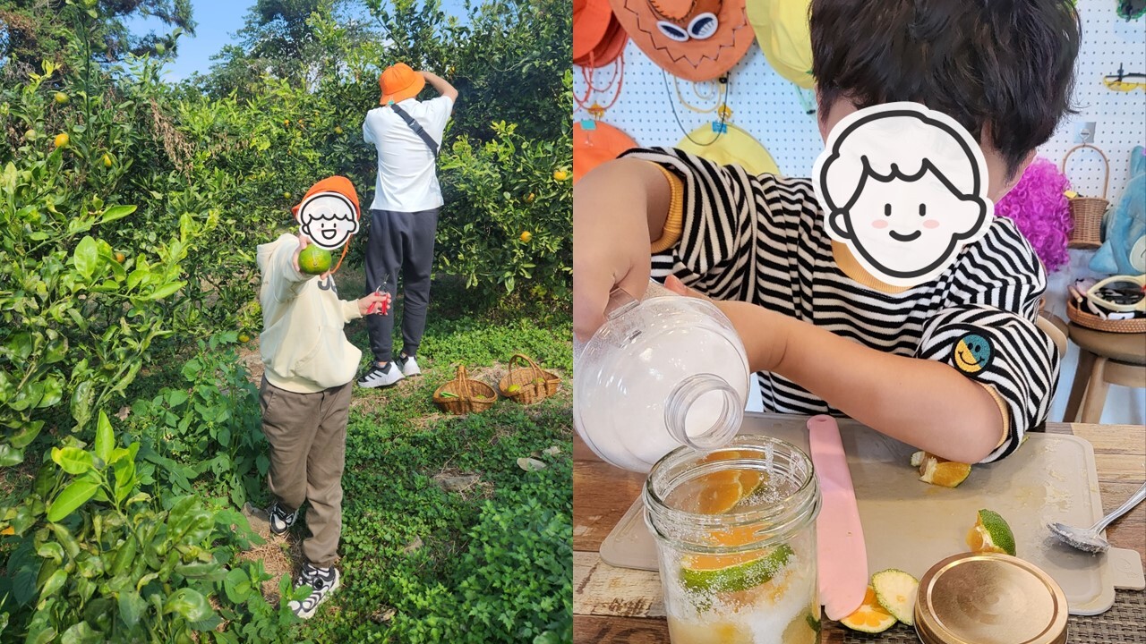 활동 스토리 2023년 놀이 하다 파란마음그룹홈 나들이 프로그램 지원 김대일문화재단